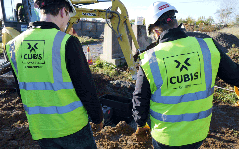 Installation and Tutorials | Cubis Systems