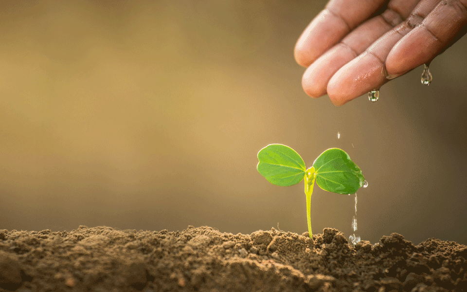 Protecting the Environment | Cubis Systems